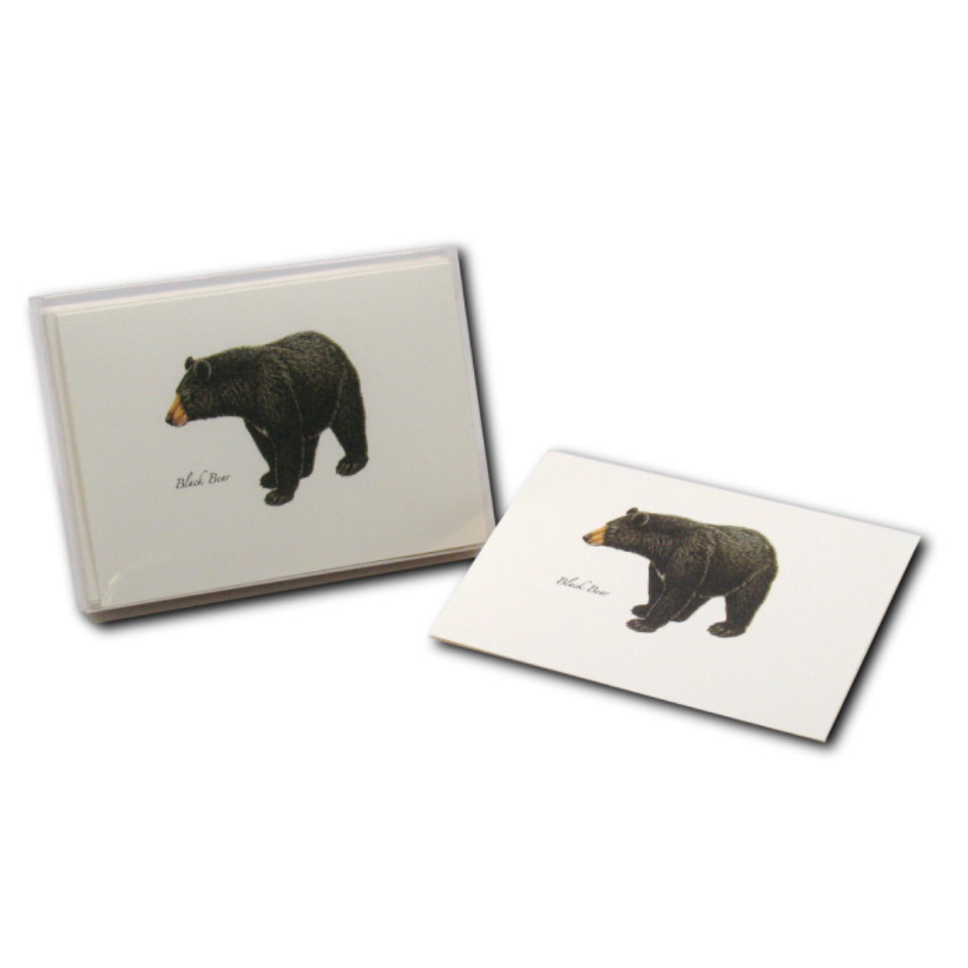 Black Bear Boxed Notes | Blue Line Book Exchange a Wholesale and ...