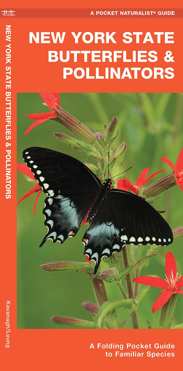 New York State Butterflies & Pollinators Waterford press | Blue Line ...