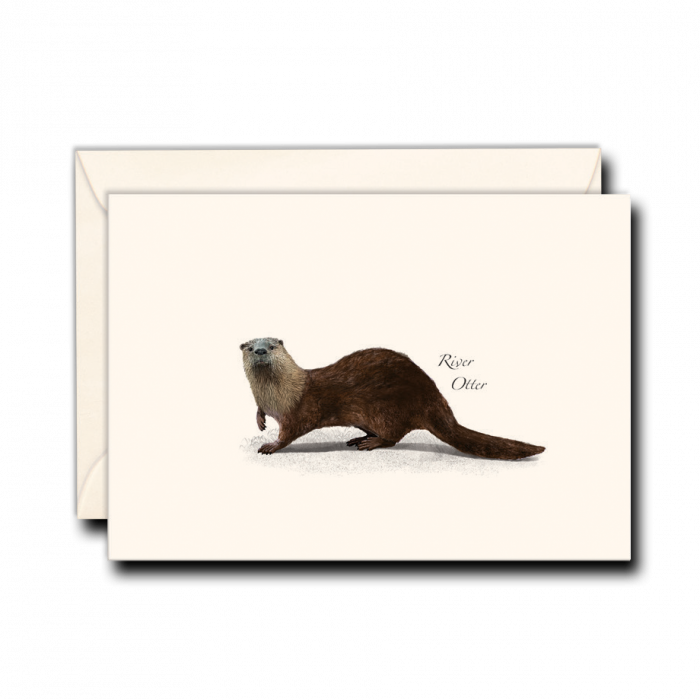 River Otter | Blue Line Book Exchange a Wholesale and Distribution Company