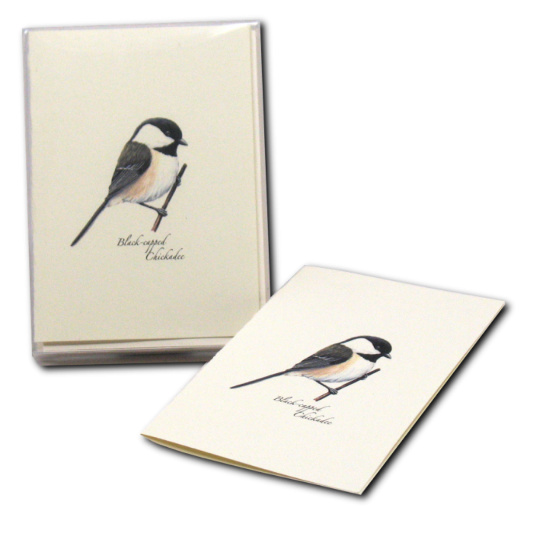 Black-capped Chickadee Boxed Notes | Blue Line Book Exchange a ...