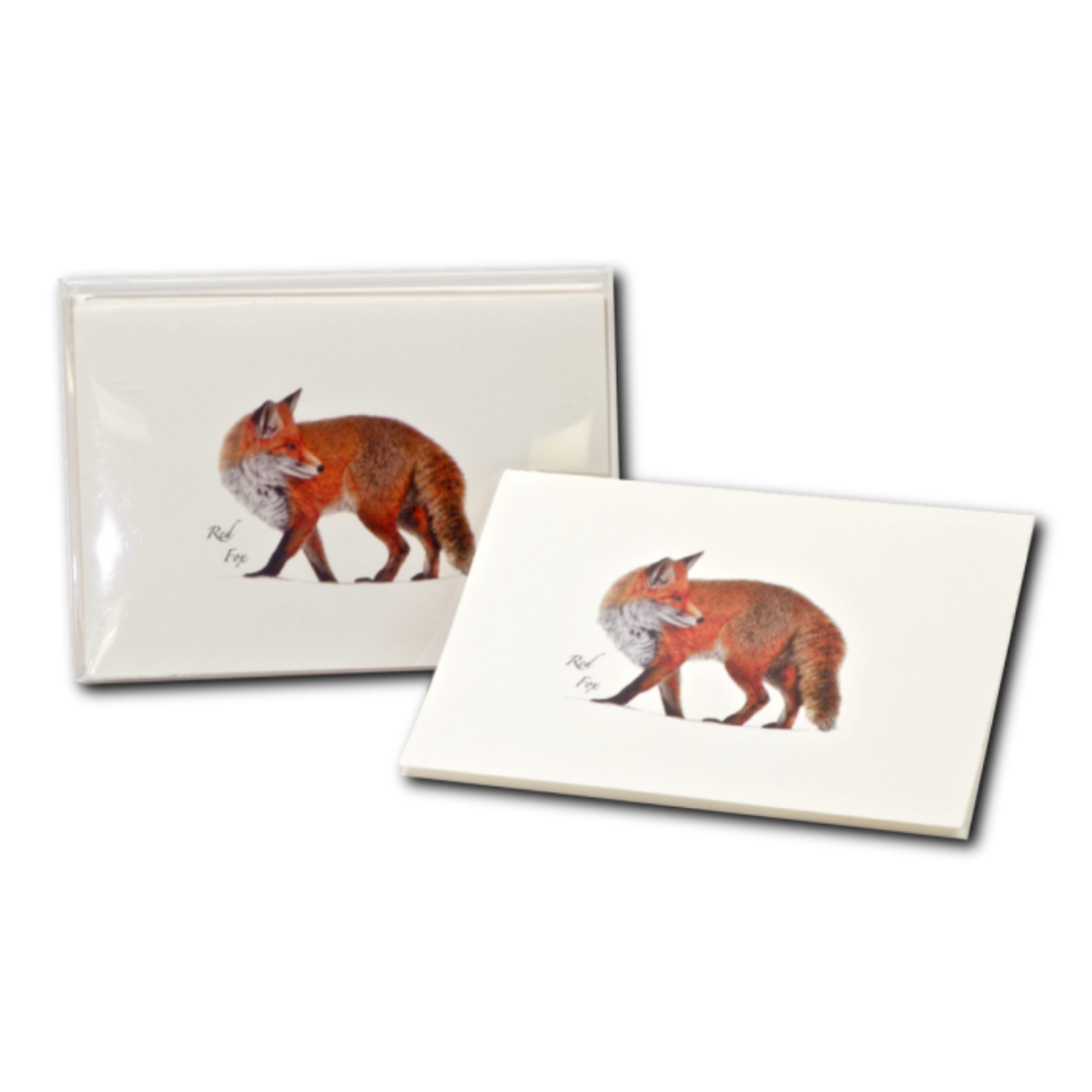 Red Fox Boxed Notes | Blue Line Book Exchange a Wholesale and ...