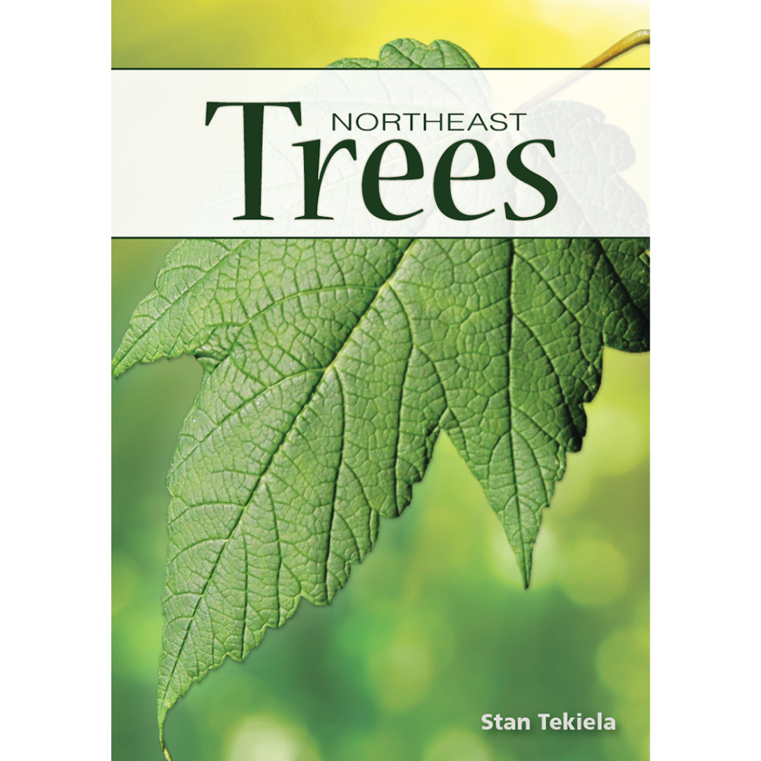 Trees of the Northeast | Blue Line Book Exchange a Wholesale and ...