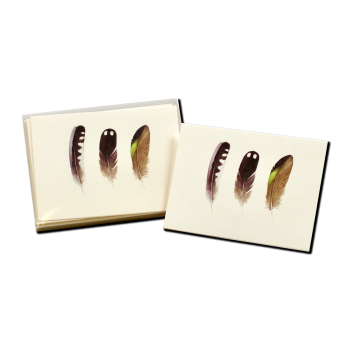 Waterbird Feathers Boxed Notes | Blue Line Book Exchange a Wholesale ...