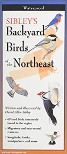 Sibley’s Backyard Birds of the Northeast Folding Guide | Blue Line Book ...
