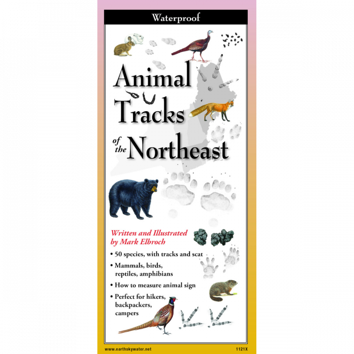 Animal Tracks of the Northeast Folding Guide | Blue Line Book Exchange ...