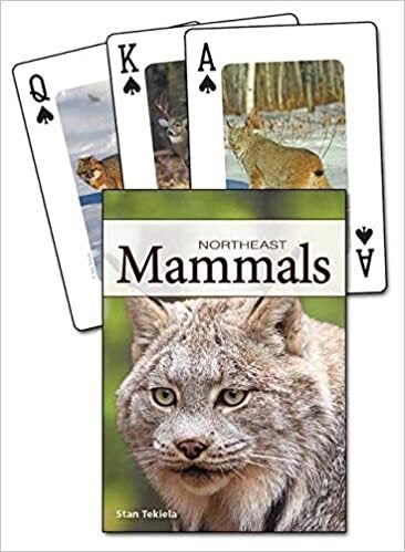Mammals of the Northeast Playing Cards (Nature's Wild Cards) | Blue ...