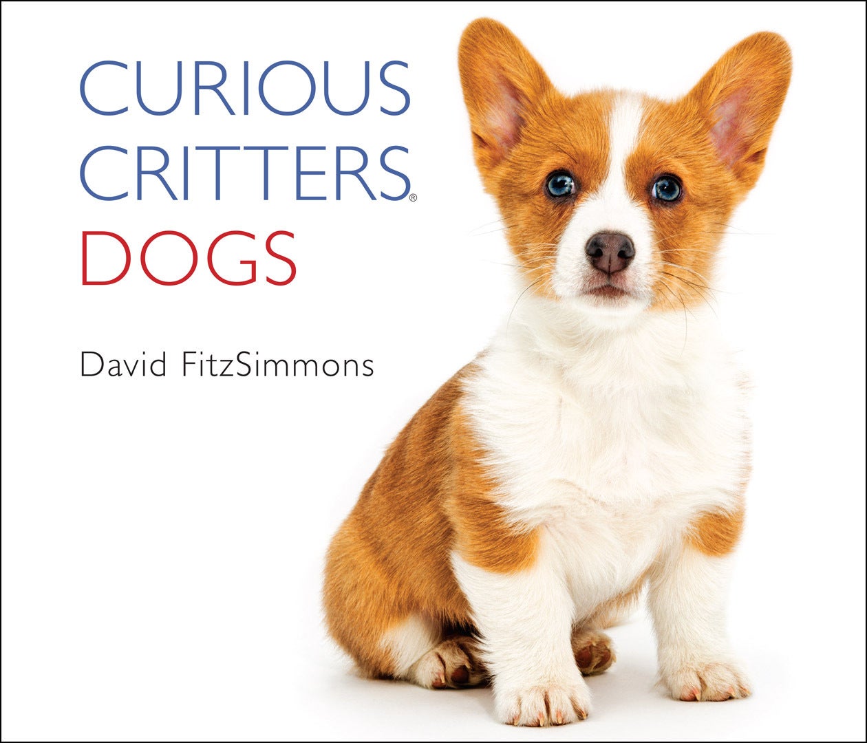 Curious Critters Dogs | Blue Line Book Exchange a Wholesale and ...